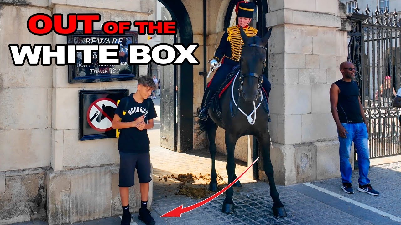 ‼️The Moment King's Troop Gentle Tell Him to Stand out of the White Box.! - YouTube