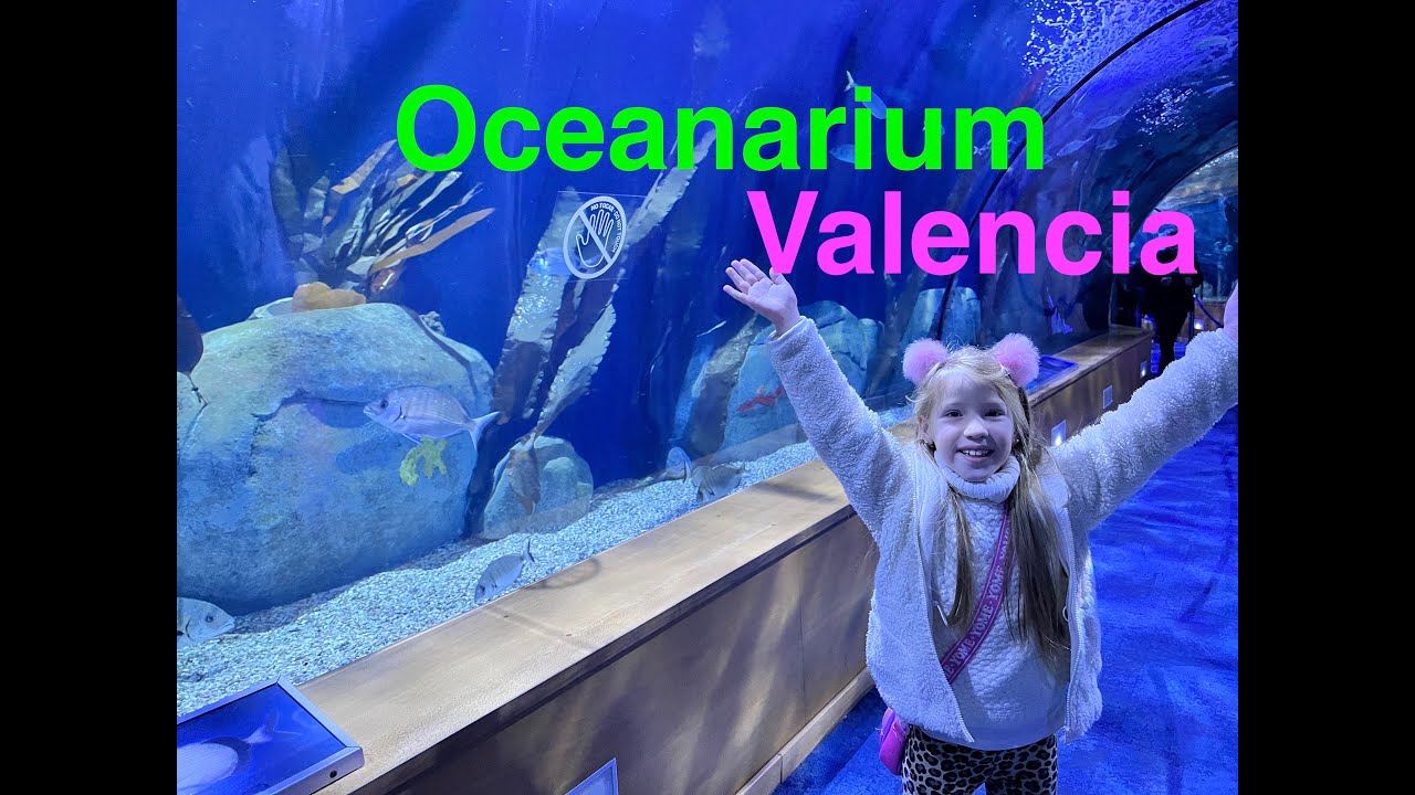 Oceanarium Valencia HD 1080p - YouTube