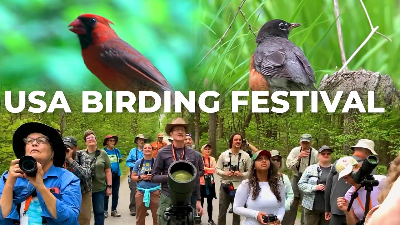 The Birders Show at Indiana Dunes Birding Festival | Cheep! - YouTube