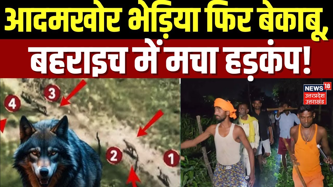 Bahraich Bhediya Attack: बहराइच में भेड़ियों की दहाड़, जंगल से गांव तक ...