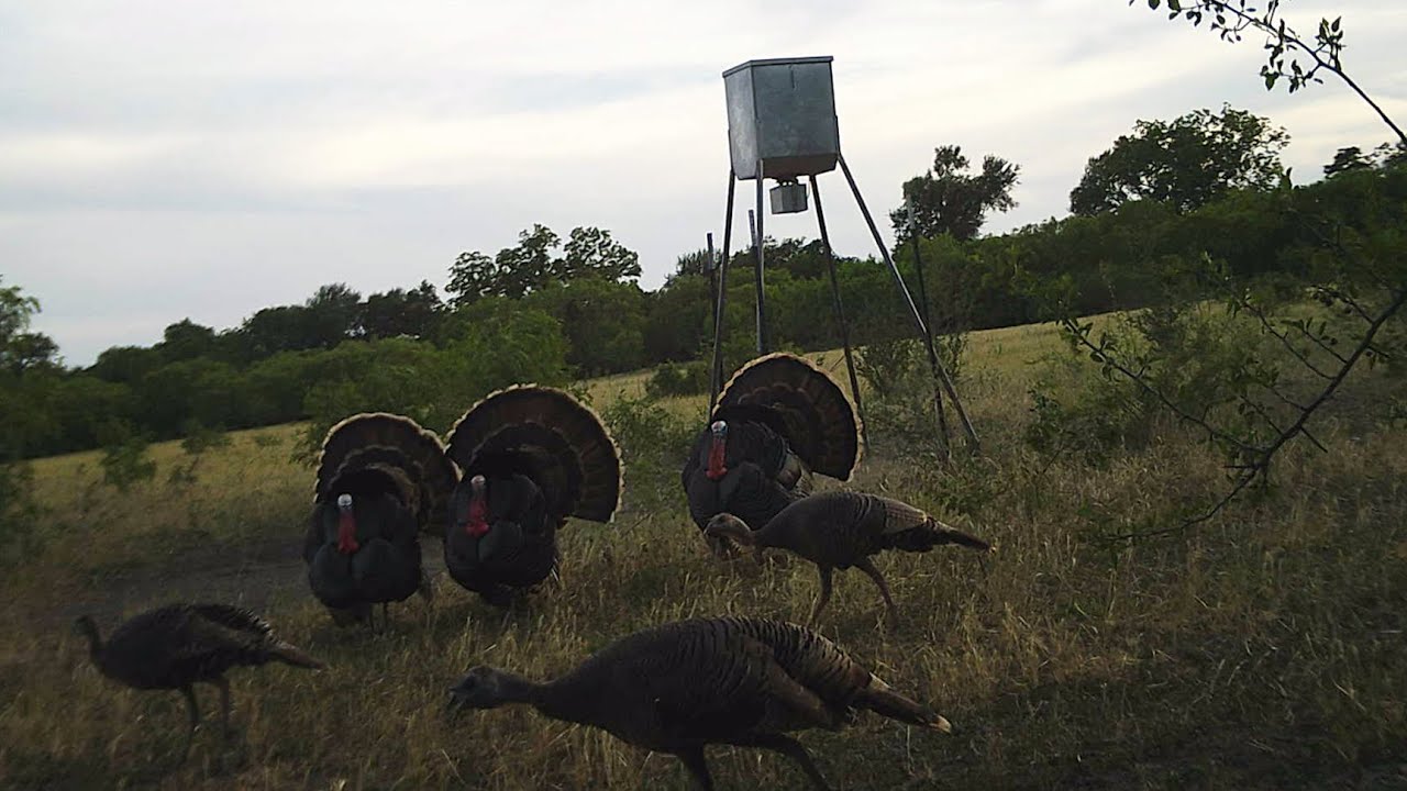 Getting ready for hunting season 2020 - YouTube