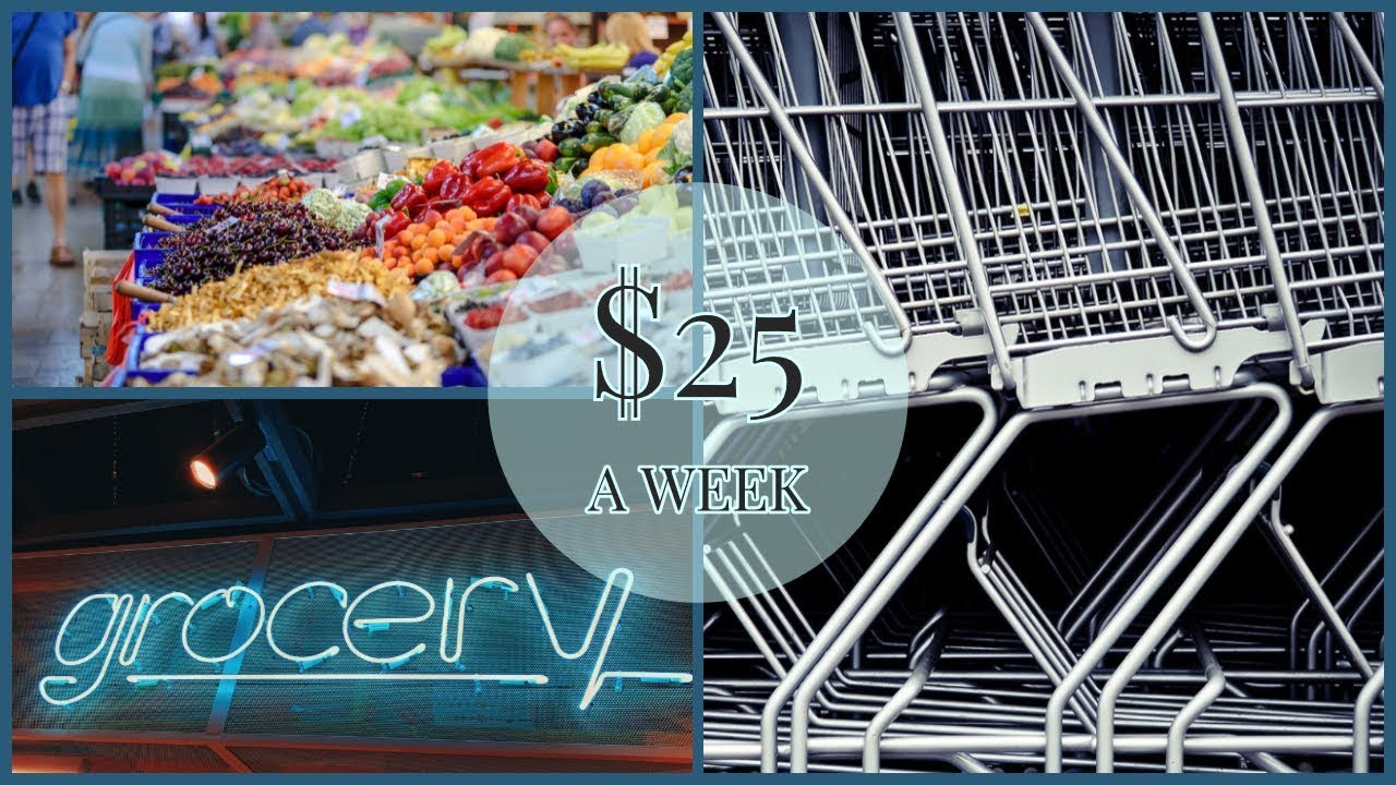 Feeding Family of 4 on $100 a month | Grocery Shopping on a Budget ...