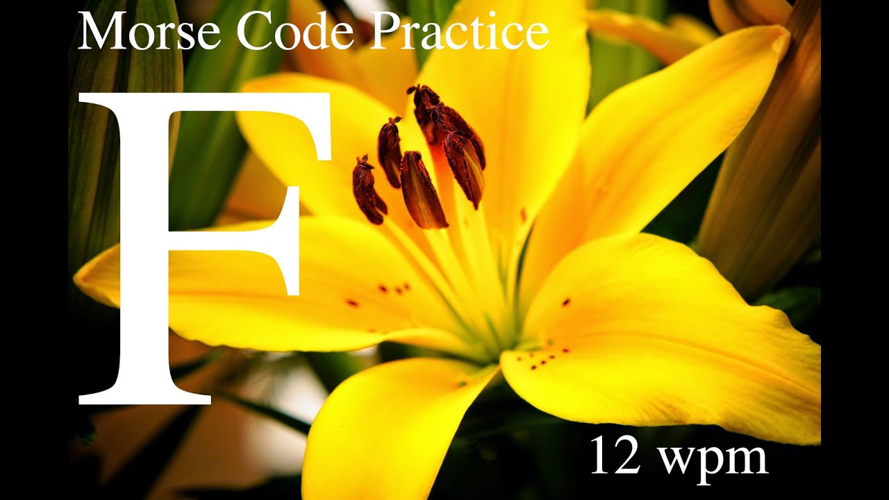 Morse Code -- Practice the letter F at 12 wpm - YouTube