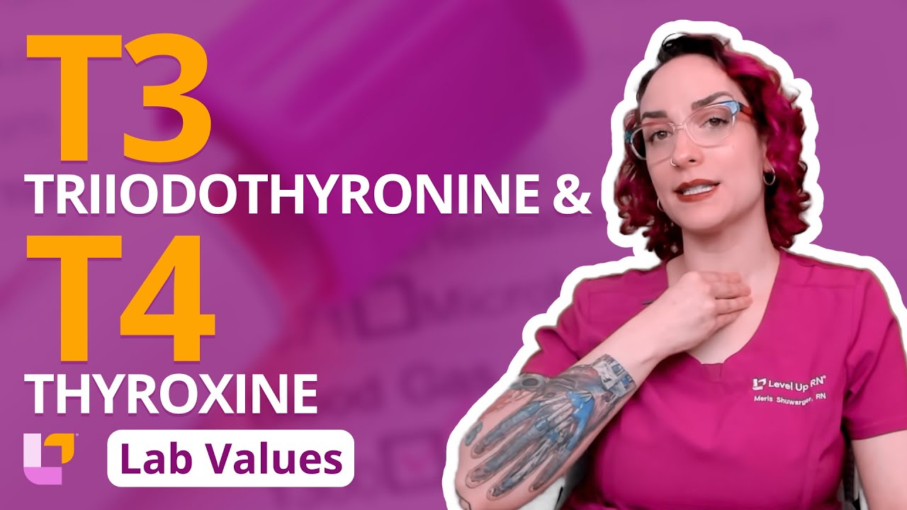 Triiodothyronine (T3) & Thyroxine (T4): Lab Values for Adults, Nursing ...