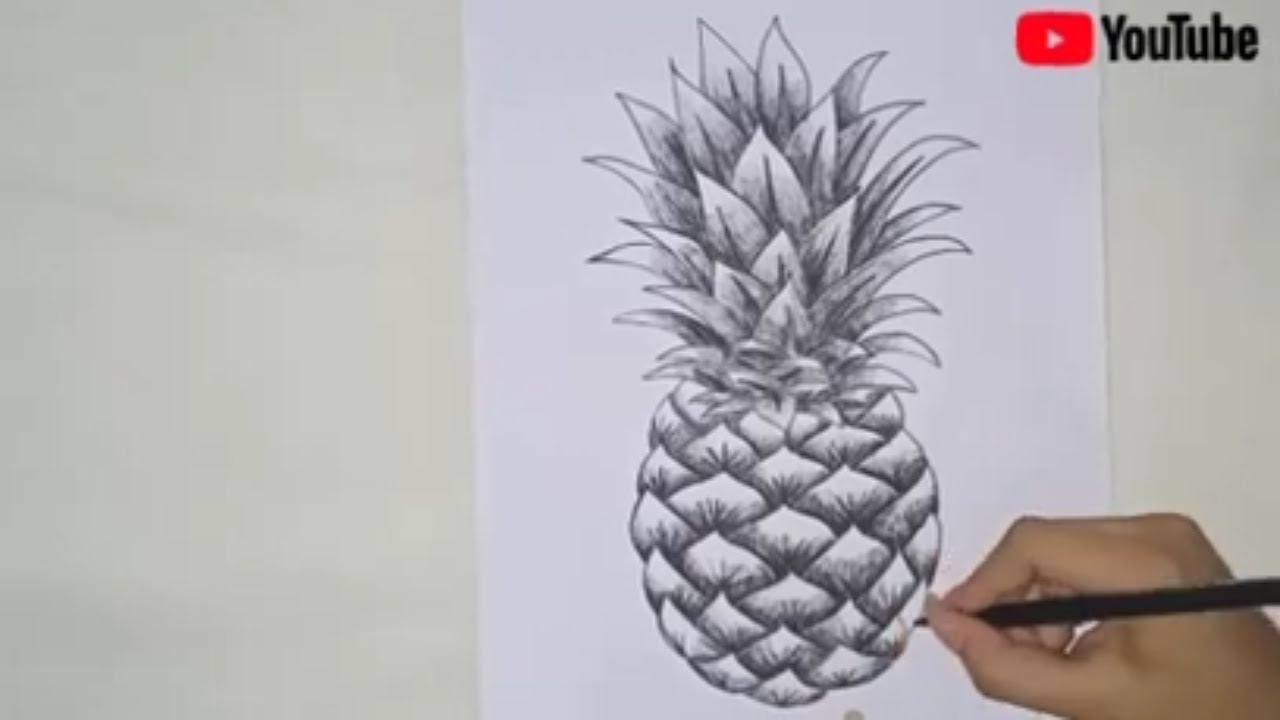 Cómo dibujar una piña a carboncillo/ How to draw a charcoal pineapple ...