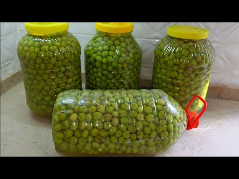 👉 KIŞLIK SALAMURA YEŞİL ZEYTİN NASIL KURULUR 👉 YILLARCA BOZULMAZ ERİMEZ YUMUŞAMAZ #trending #food 
