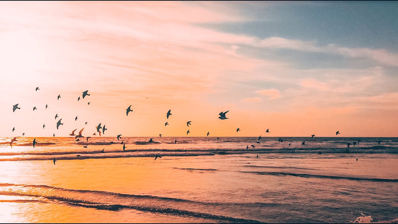 OTTUMPURAM BEACH TANUR / EVENING VIBES / SUNSET / SEASHORE / DJI OSMO ...