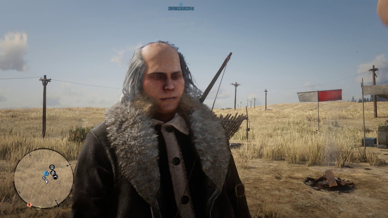 FIRST PERSON EXPERIENCE | RDR2 - YouTube