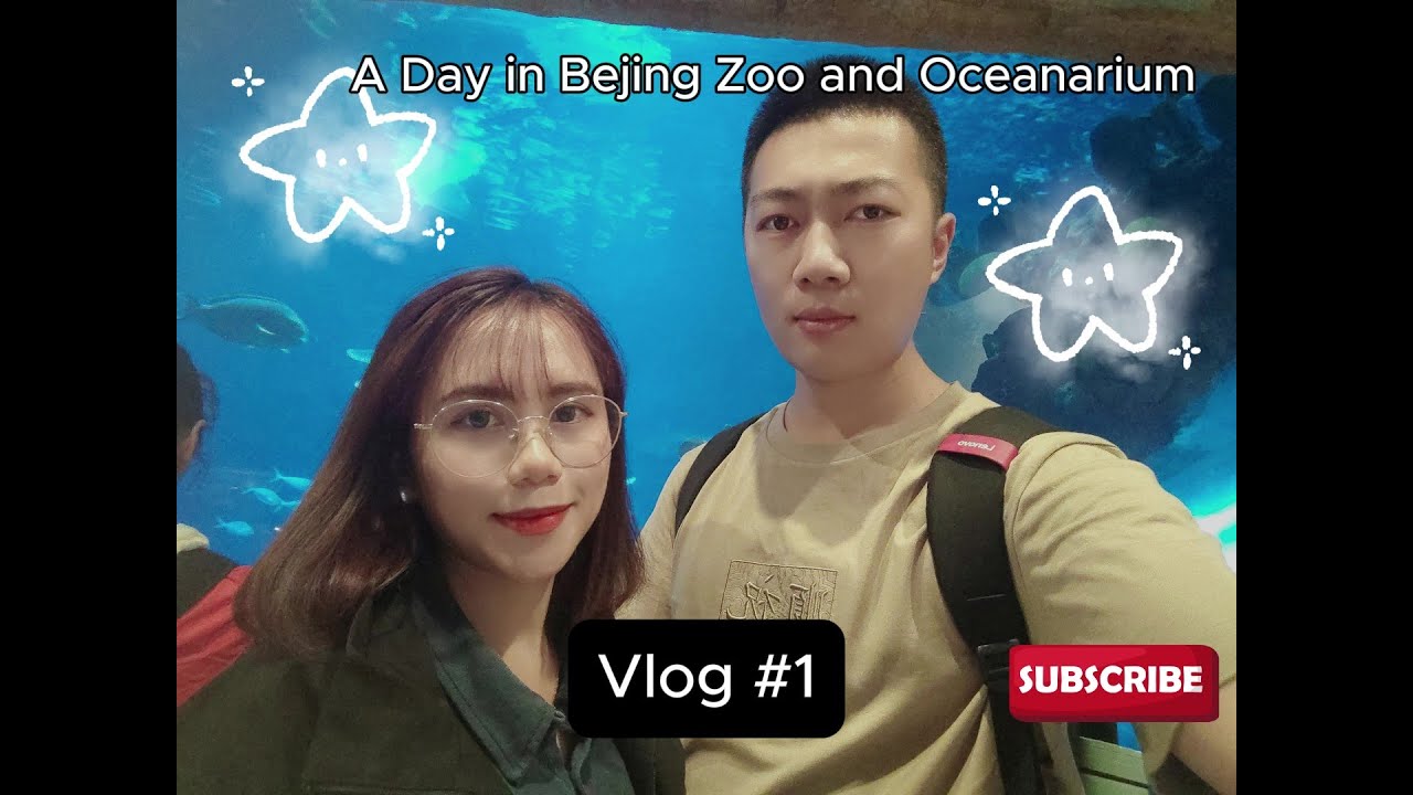 A Day in Beijing Zoo and Oceanarium - YouTube