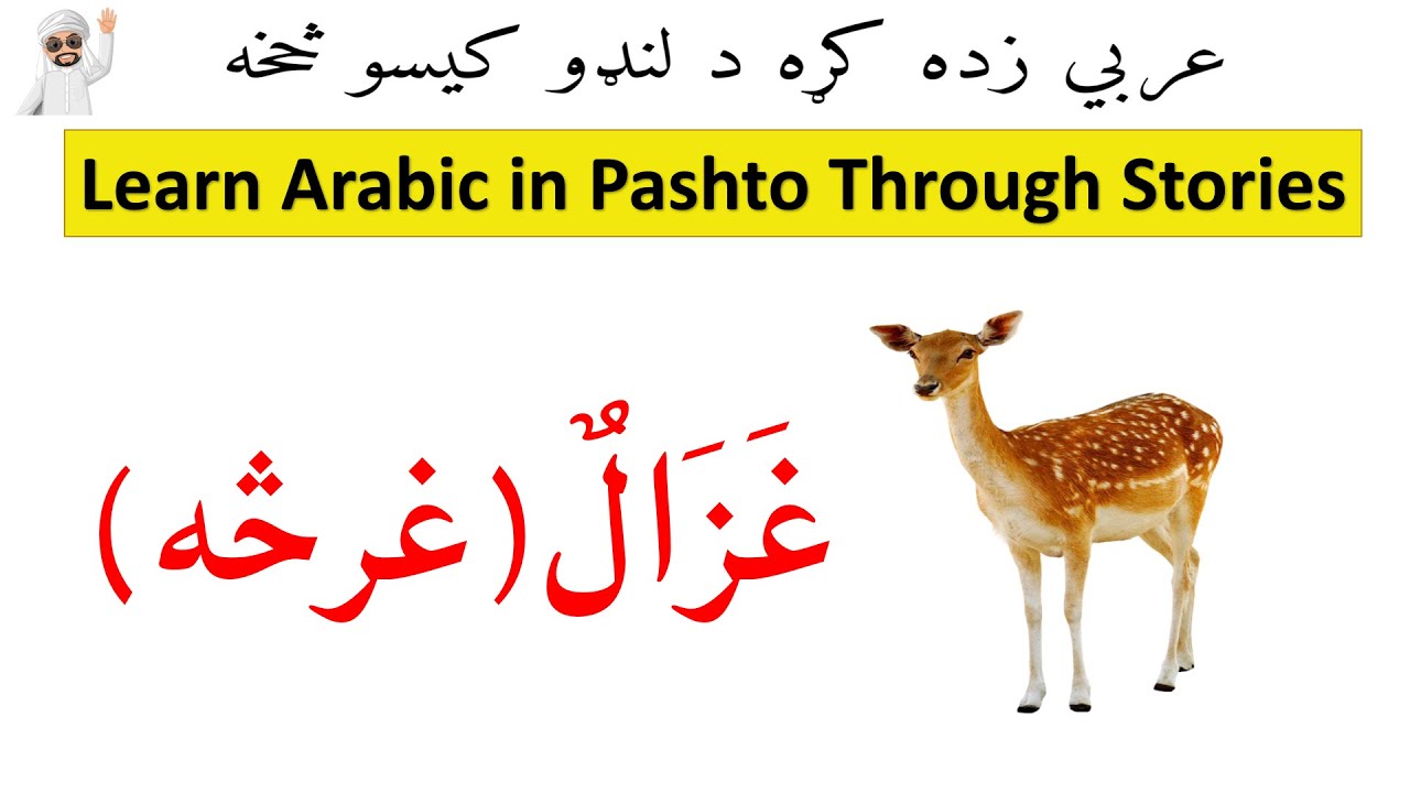 Learn Arabic through short stories 1 | A Deer - YouTube