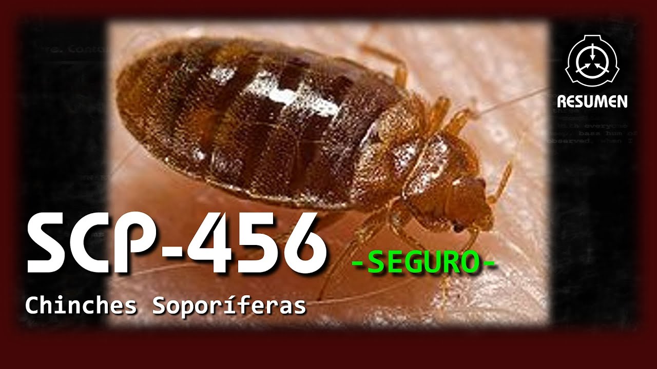 SCP-456: Chinches Soporíferas | SCP RESUMEN - YouTube