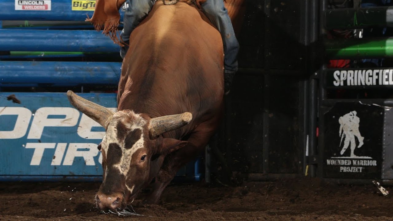 TOP BULL: Bushwacker bucks off Billy Robinson in 4.5 seconds (PBR ...