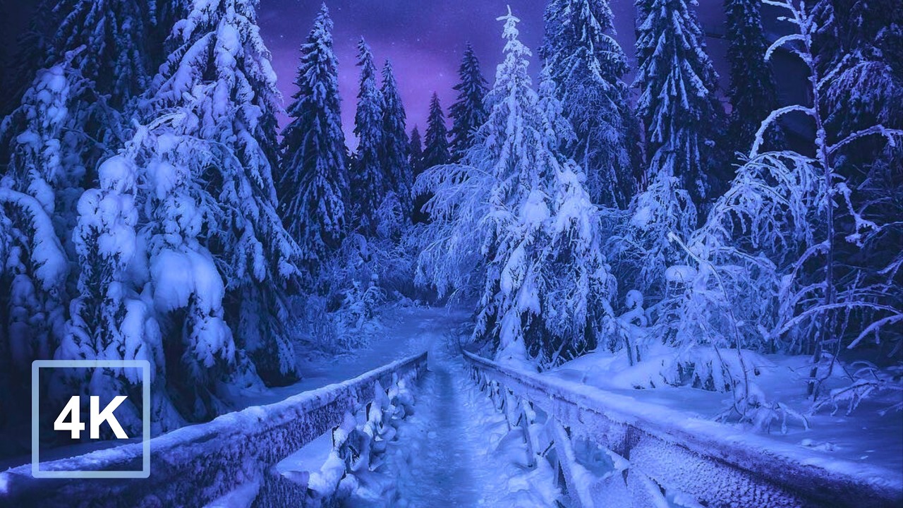 2 Hours of Night Snow Walk in Finland • 4K HDR Therapeutic Snow Crunch ...