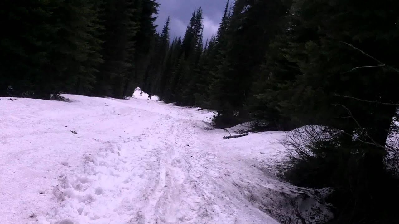 More snow trudge. - YouTube