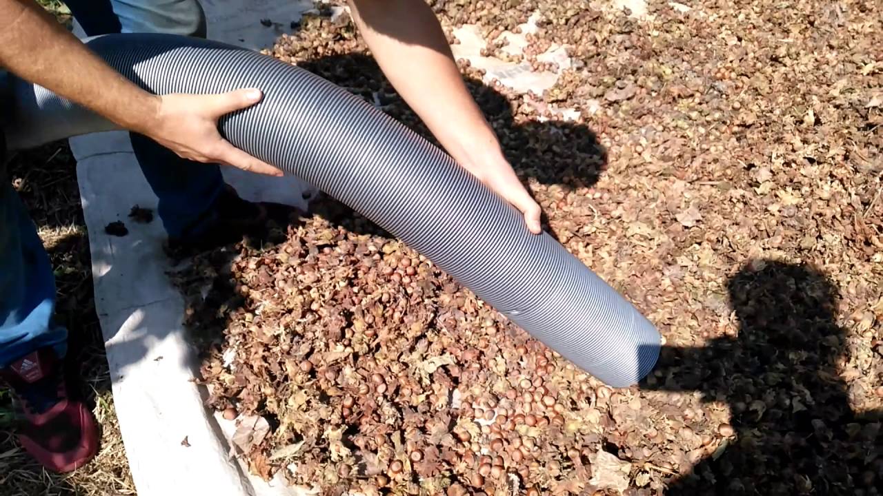 Hasatsan findik toplama makinasi bakirli koyu - YouTube