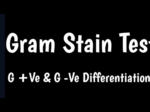 Gram Staining Test | What Is Gram Staining | Differentiating Gram Positive & Gram Negative Bacteria