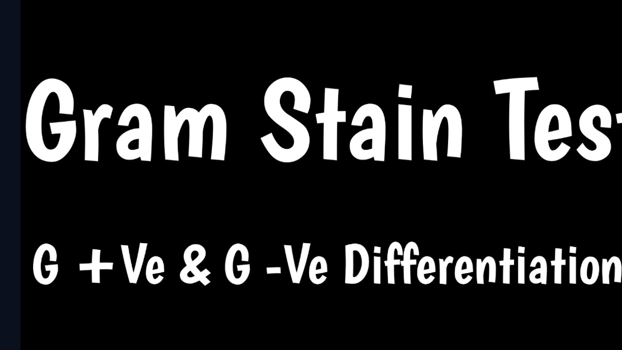 Gram Staining Test | What Is Gram Staining | Differentiating Gram ...
