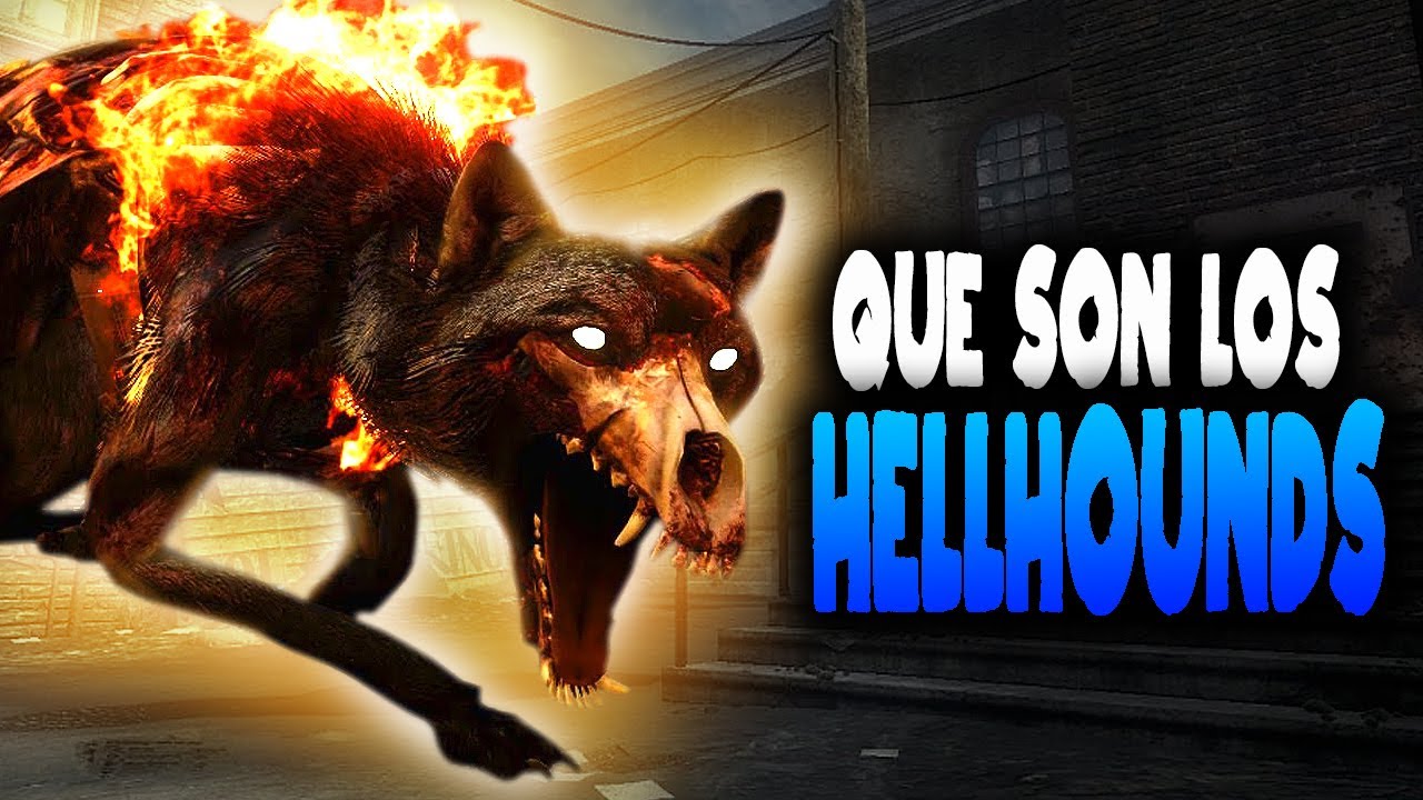 Origen y Curiosidades de los HELLHOUNDS By Cartoon Wrestler Yt - YouTube