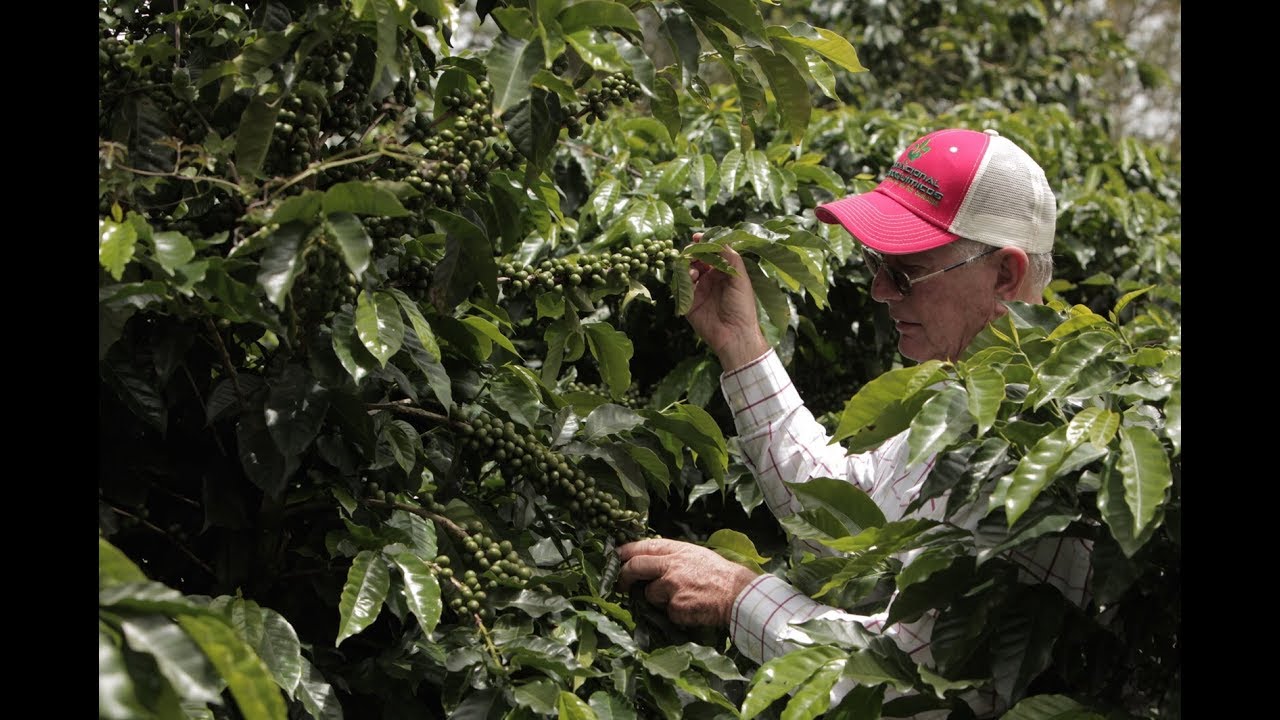 JANSON COFFEE FAMILY - YouTube