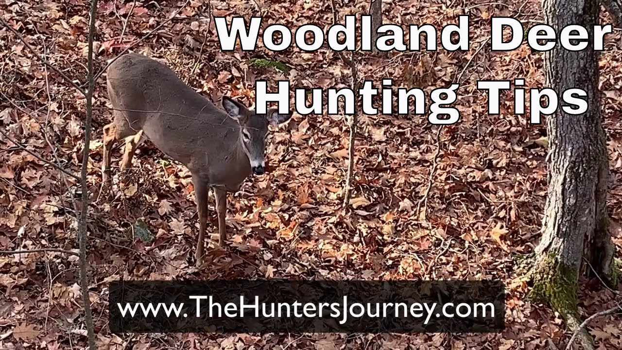 Tips for Deer Hunting in Woodland Habitat - How to Hunt Series - YouTube