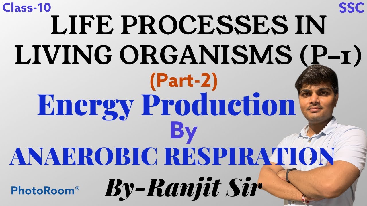 Life Processes in Living Organisms (P-1) | Part -2 | Energy production ...