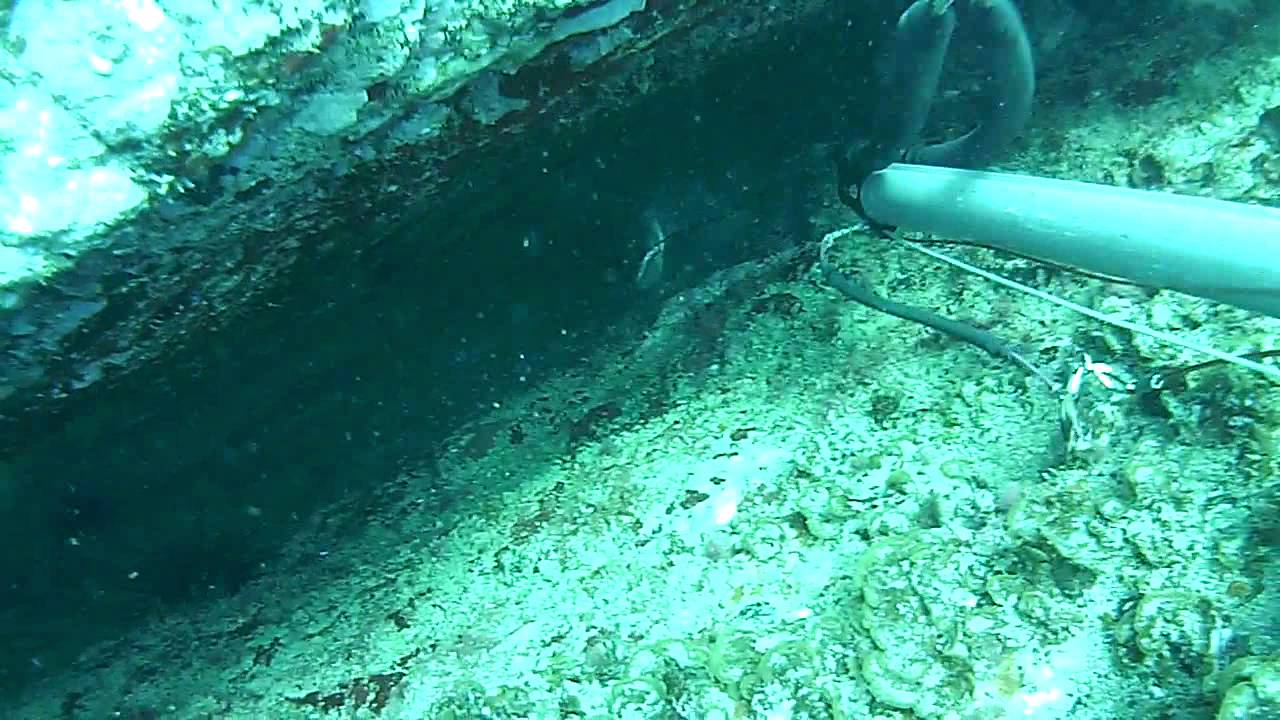 Brótola.MP4 - YouTube