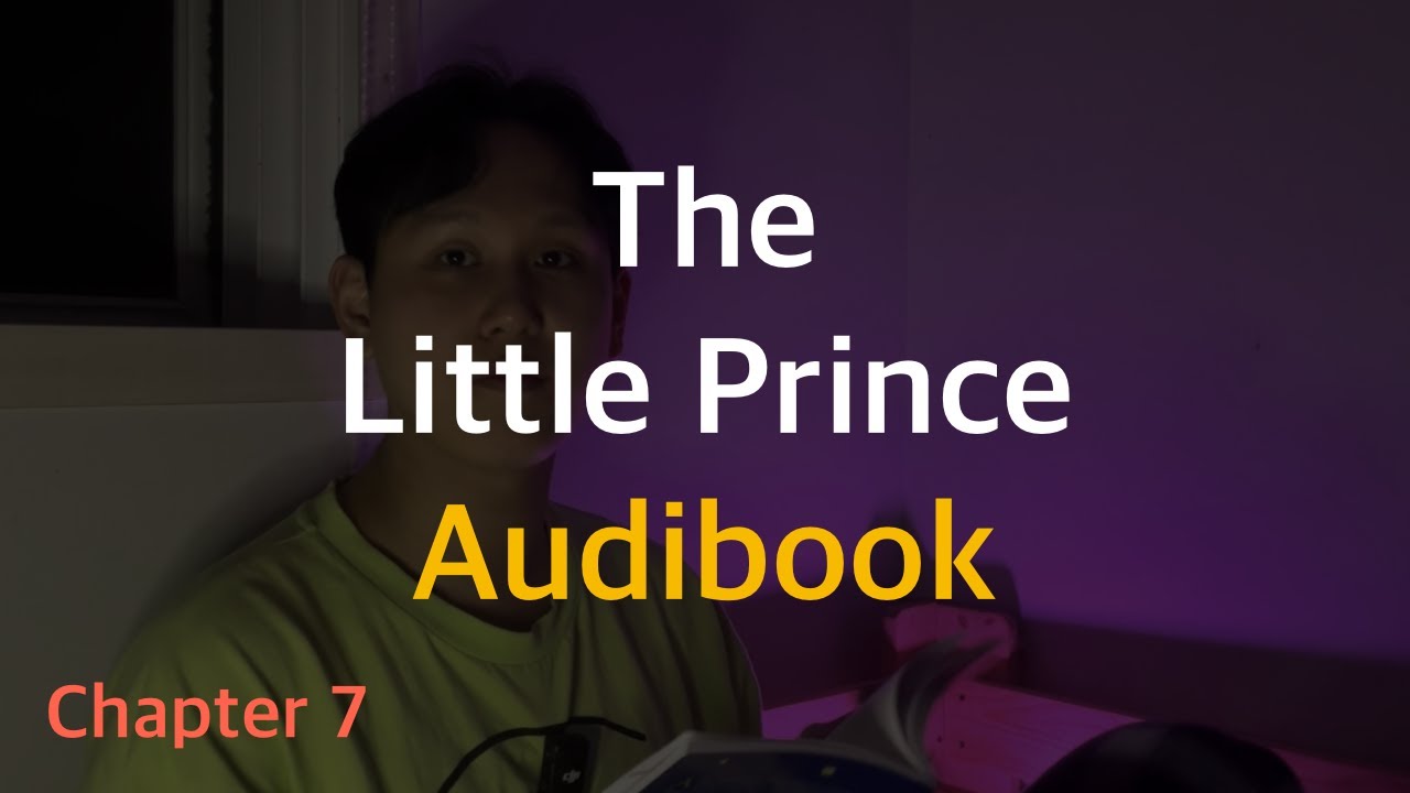 [Chapter 7] The Little Prince Audiobook - YouTube