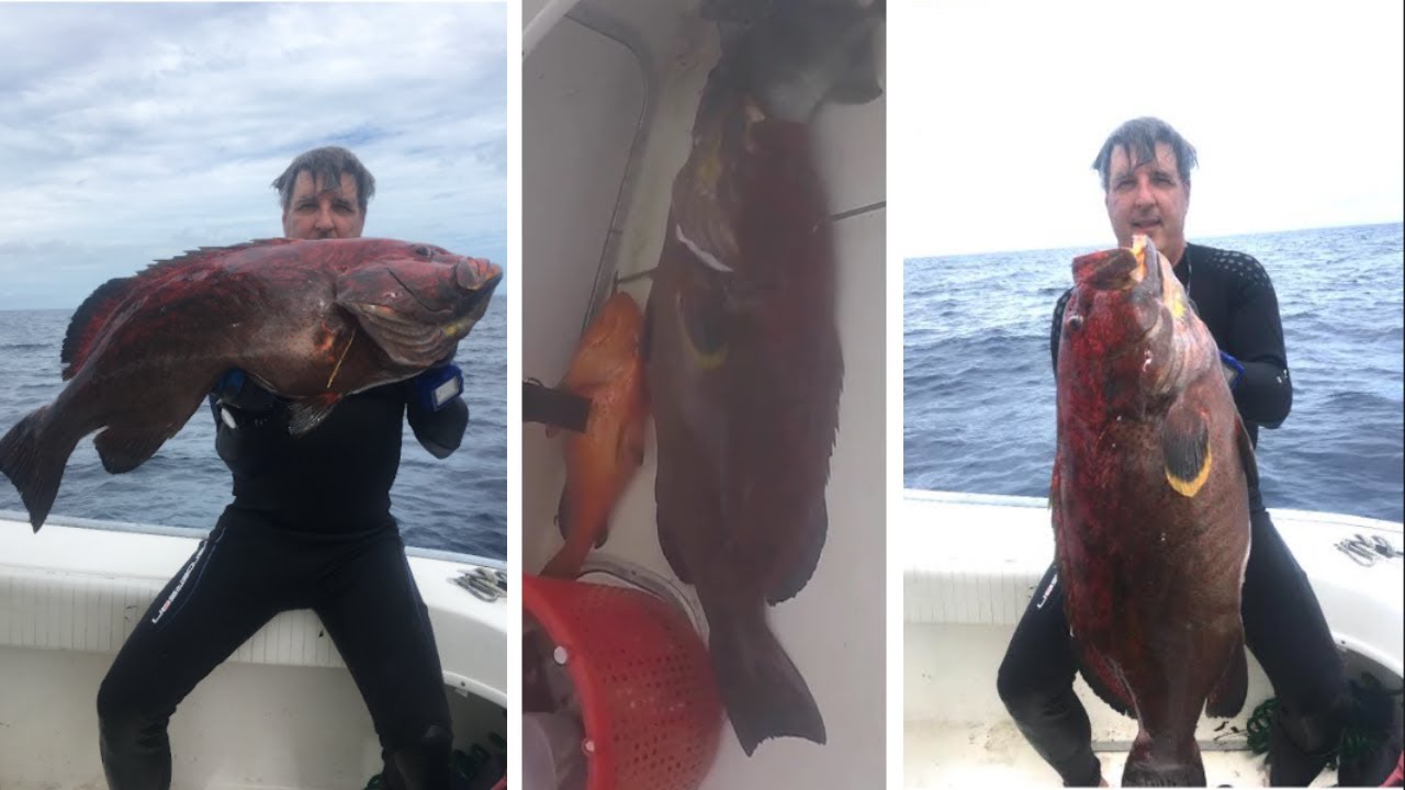 Fireback Grouper - YouTube