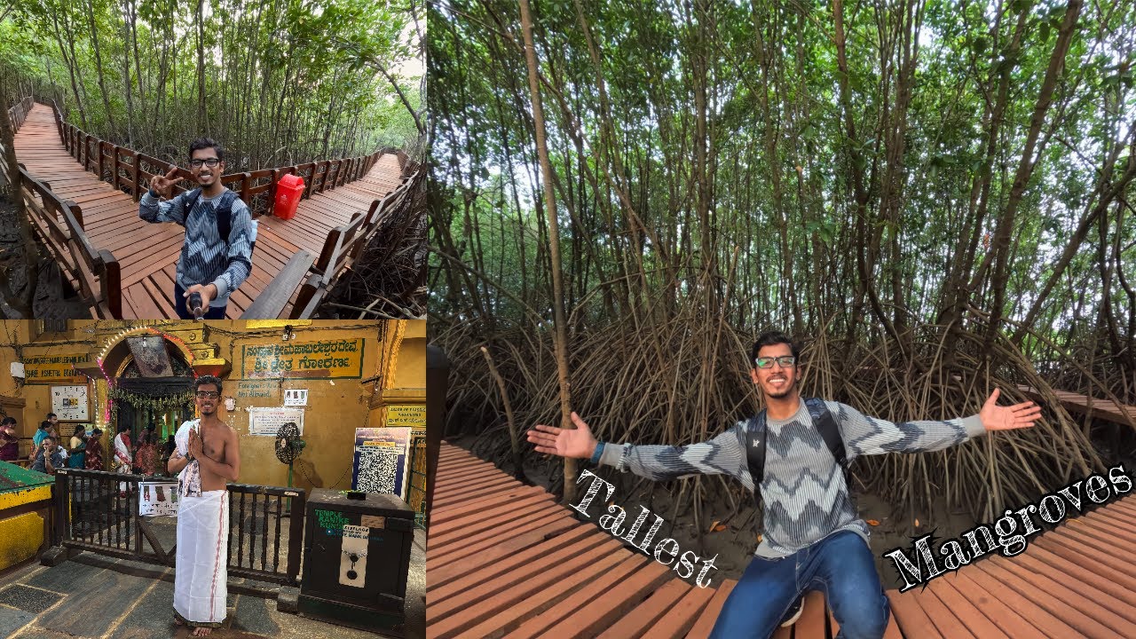 AMAZING MANGROVE BOARDWALK AND GOKARNA TEMPLE | EP-09 - YouTube