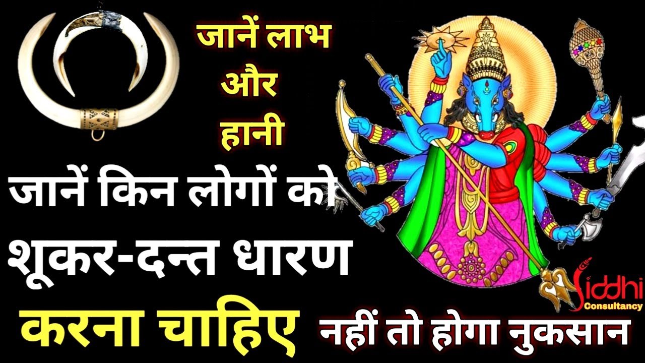 शूकर दन्त धारण करने से लाभ या हानी जानें इस वीडियो मे True Varaha ...