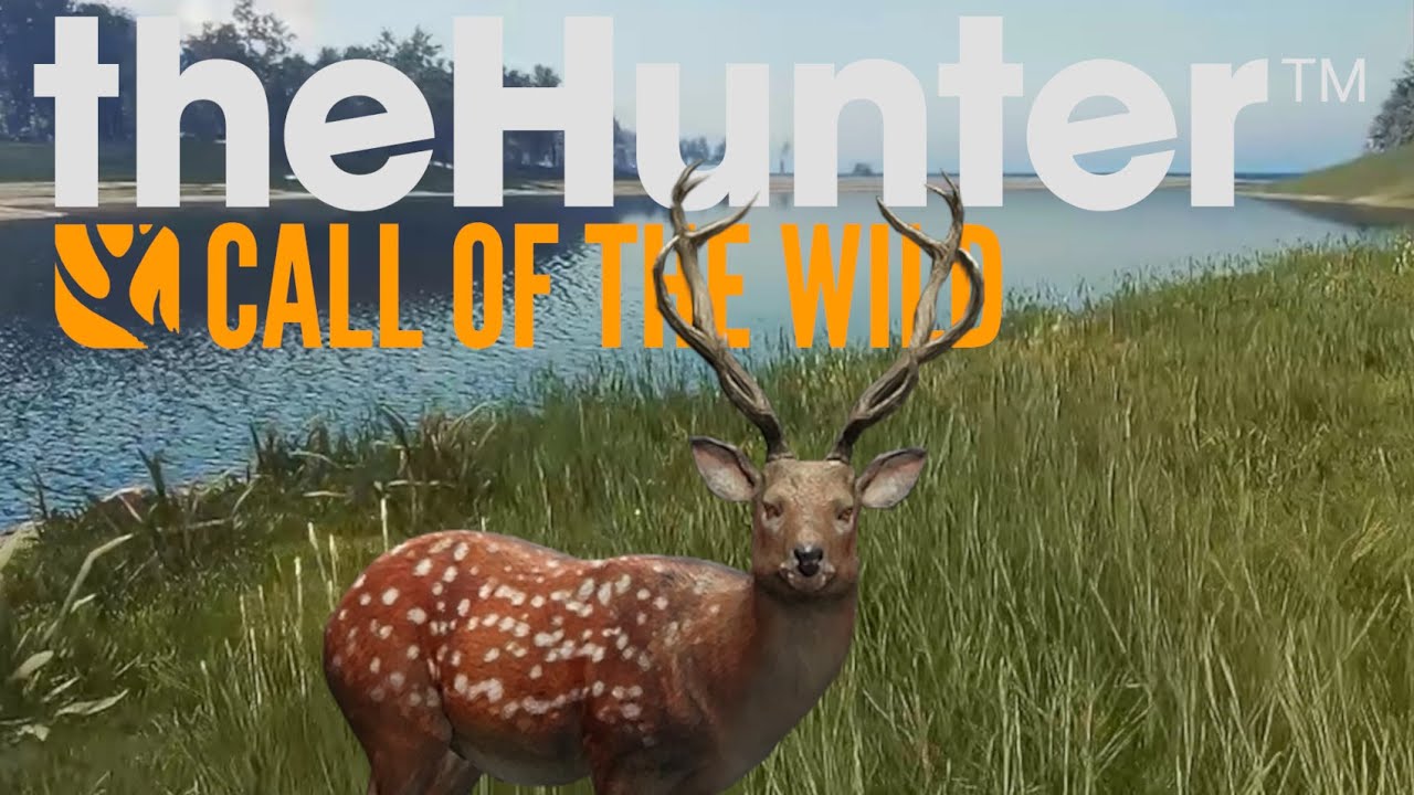 Sika Deer- theHunter: call of the Wild Te Awaroa [#153] - YouTube