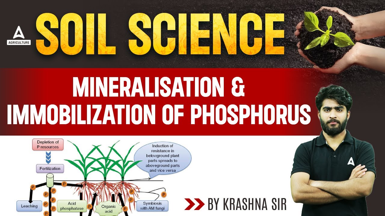 Mineralization & Immobilization of Phosphorus | Soil Science | Short ...