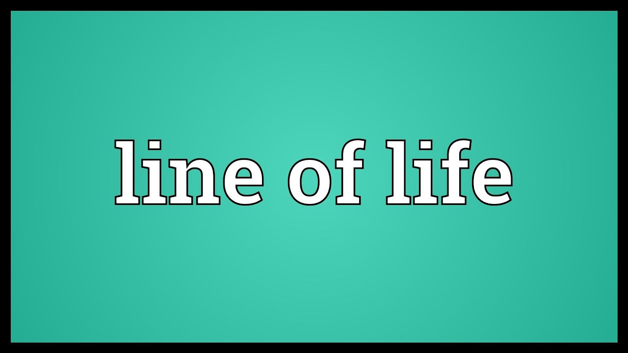 Line of life Meaning - YouTube
