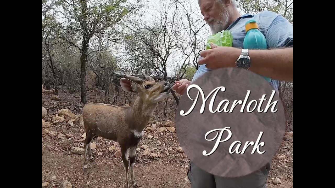 Marloth Park in Mpumalanga. A holiday village for bush and wildlife ...