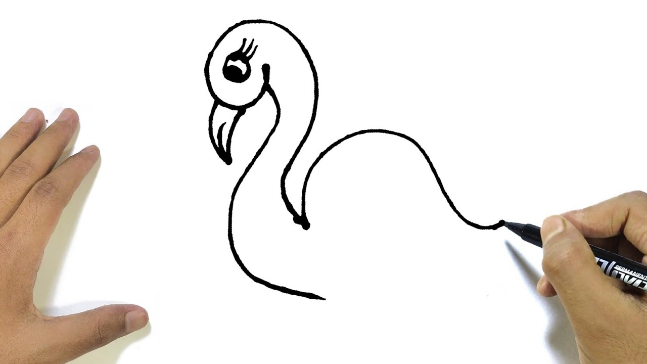 Perfect Heron Bird Drawing || How to Draw a Heron Easy Step by Step ...