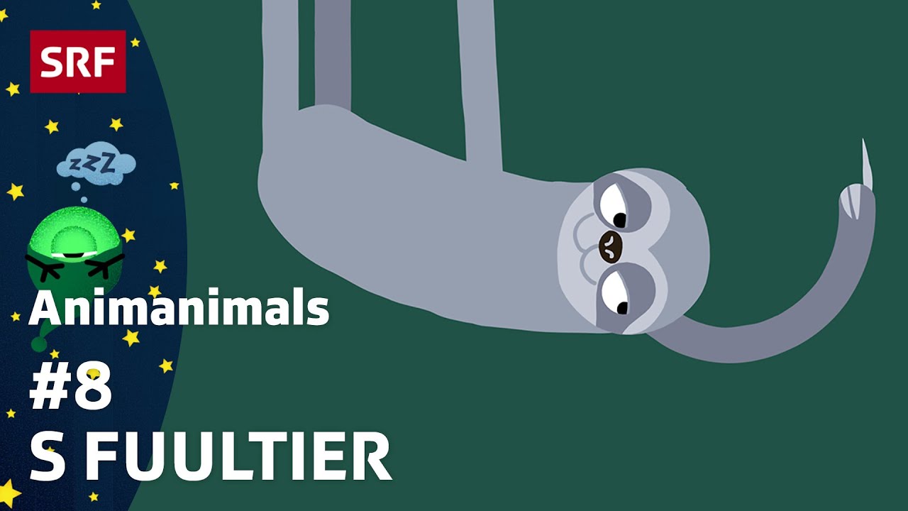 Guetnachtgschichtli: Animanimals – Faultier #8 | Kindervideos | SRF ...
