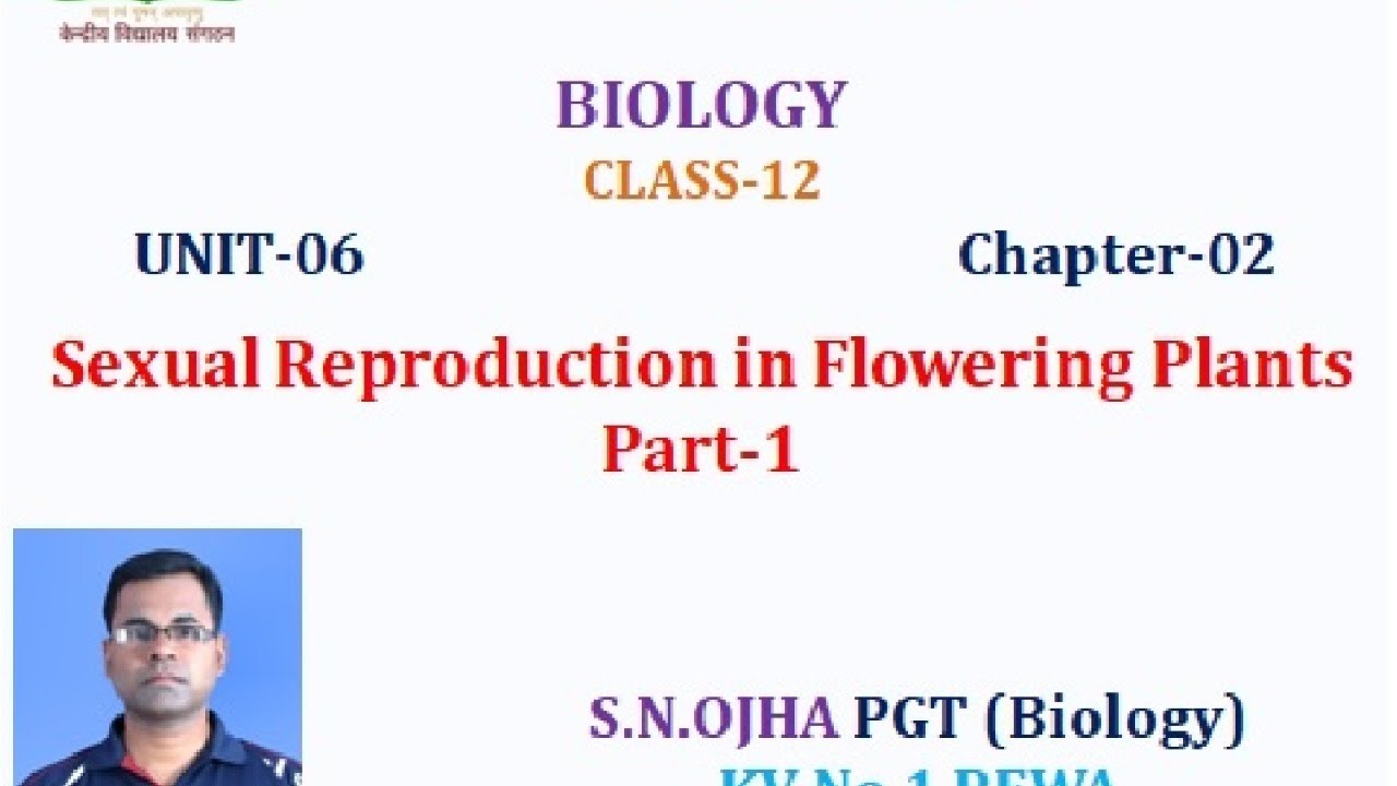 Class 12 th Biology - YouTube