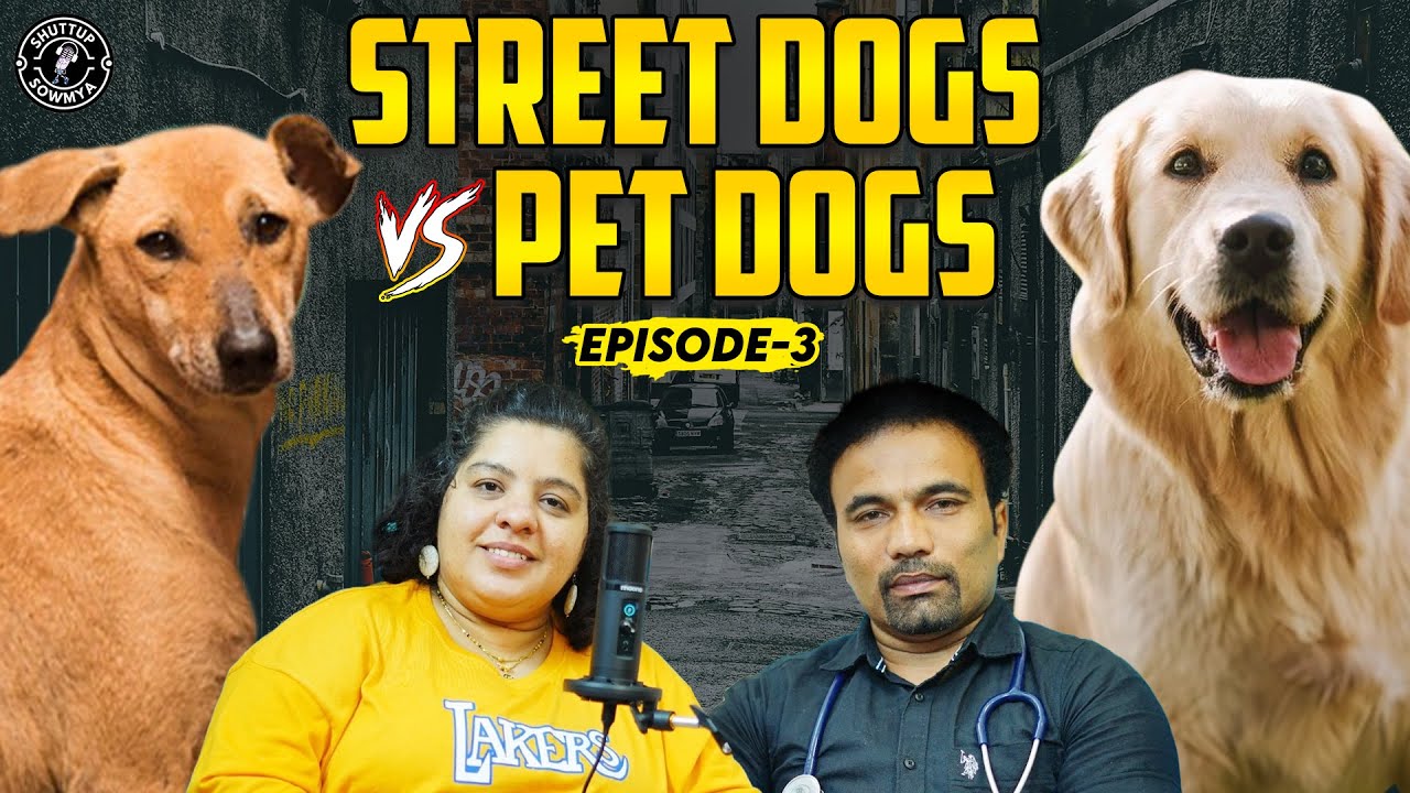 🐕Street dogs |🐕‍🦺 Pet Dog Care|Vaccinations | Rabies|Animal Love| ft ...
