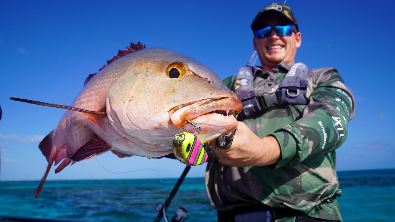 Reef Conquering || Spicy Edit || Rigging Timber Lures || How To Rig The ...