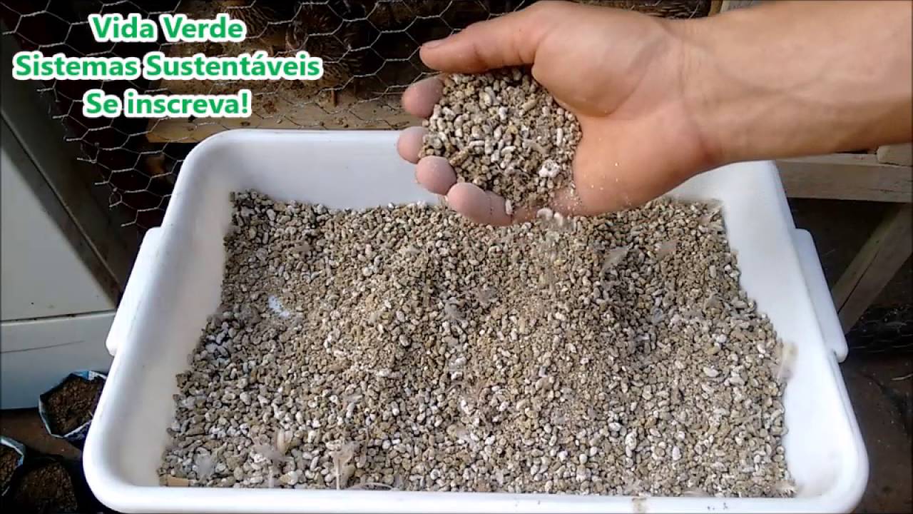 Esterco de Codornas! Conheça os benefícios e aprenda a usar! - YouTube