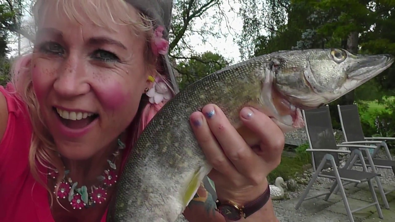 lilla fisken - lake of zürich - YouTube