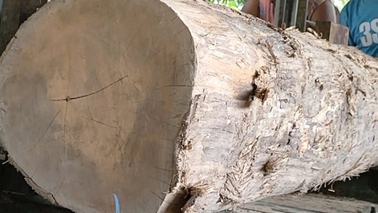 Amazing TEAK WOOD,Serat galih indah kayu jati warga proses ...