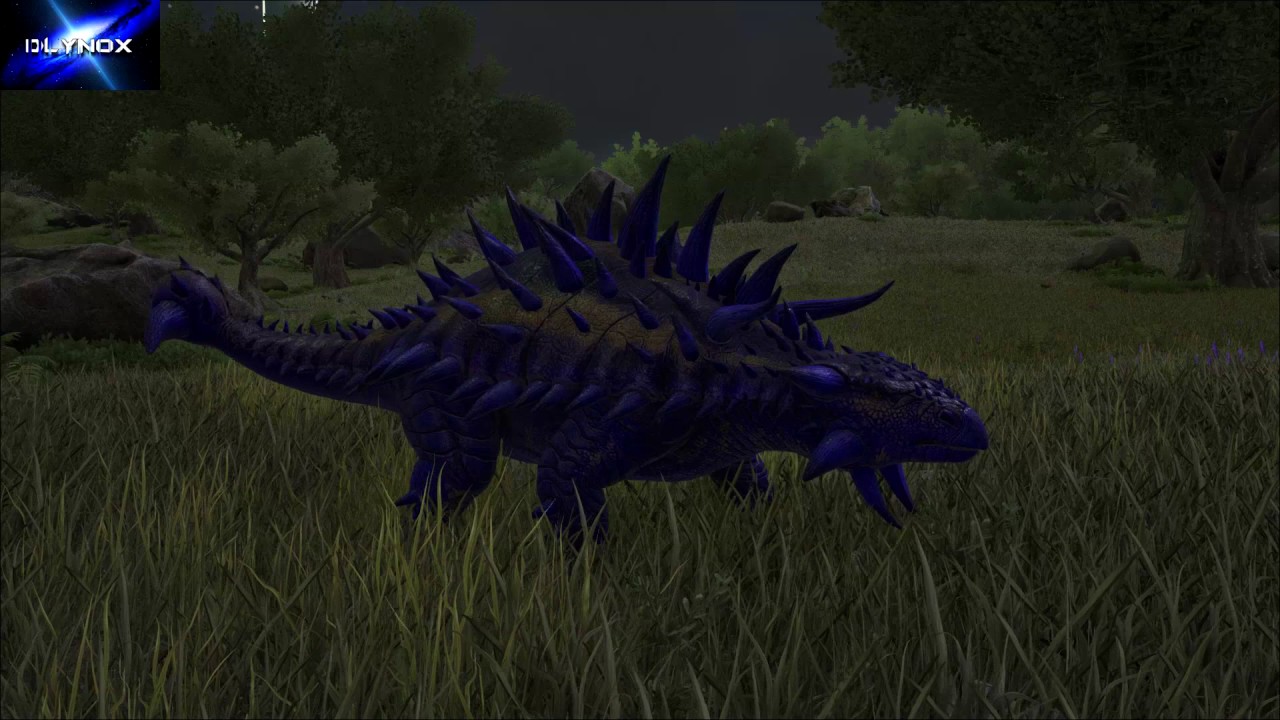 Ark Battle Grassland Night 4 Light Music Extended in 1 Hour Update 257 ...