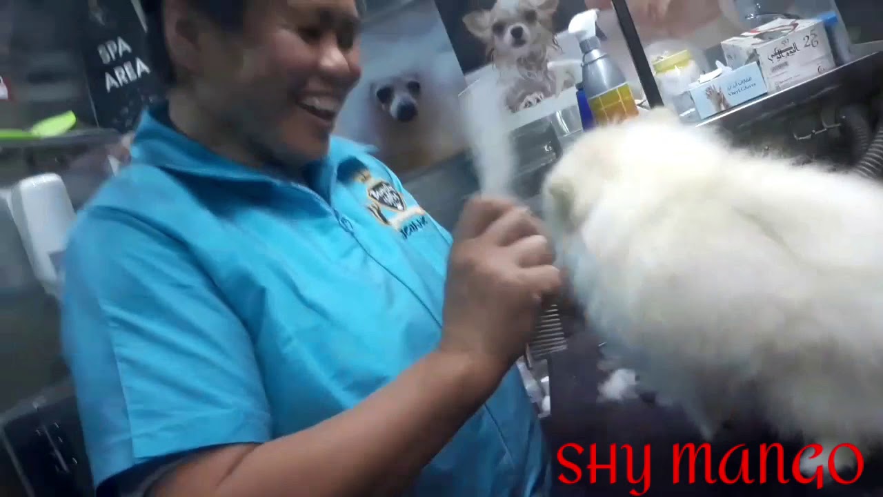 time for shower | grooming time - YouTube