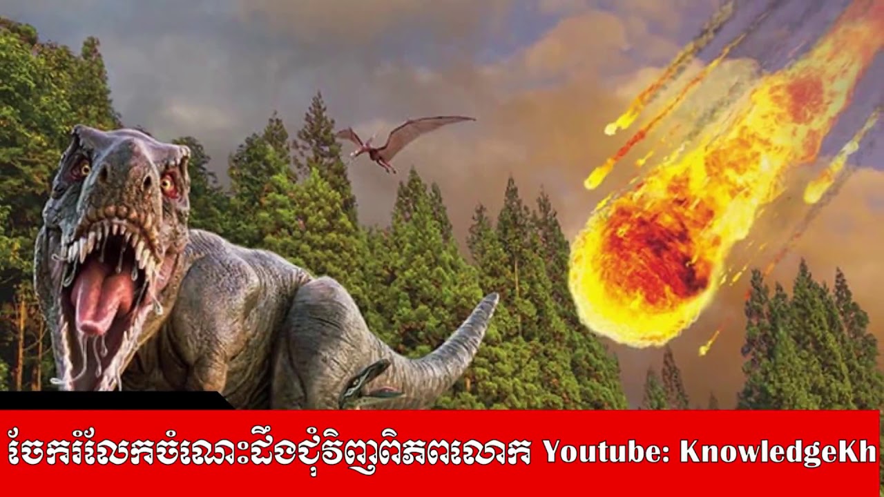 Control of fire by early humans - YouTube