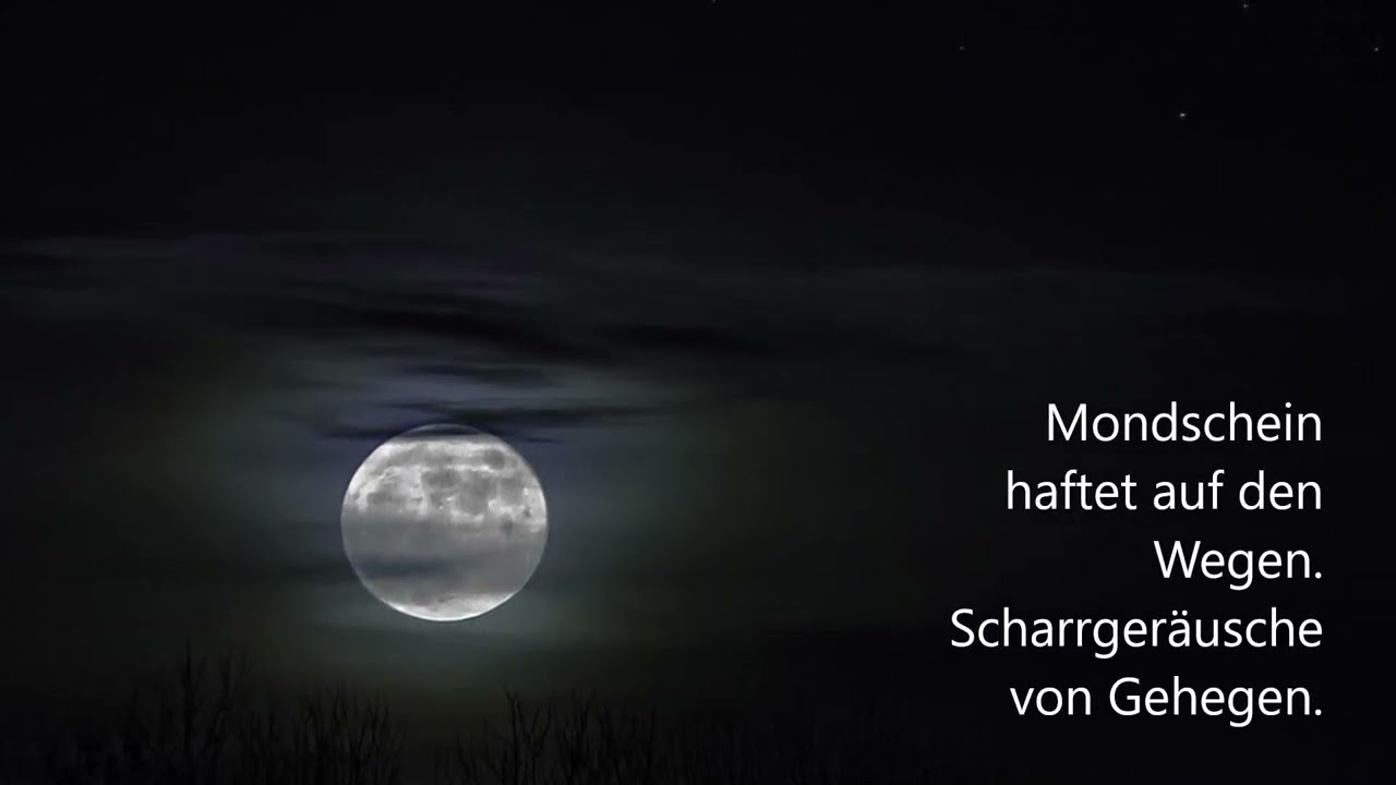 Diese Nacht... Bernd Tunn - Tetje ( Bild von Michael Treu - Musik von ...