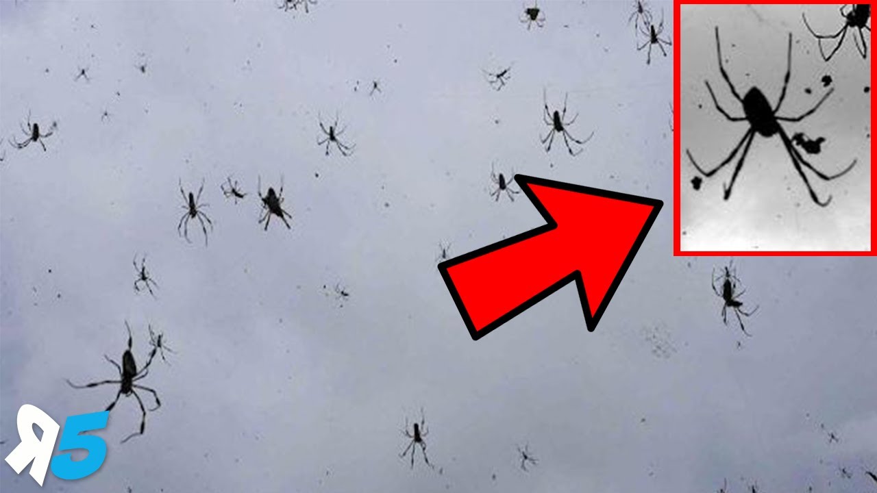 5 Shocking Things That Fell From The Sky | Random 5 - YouTube