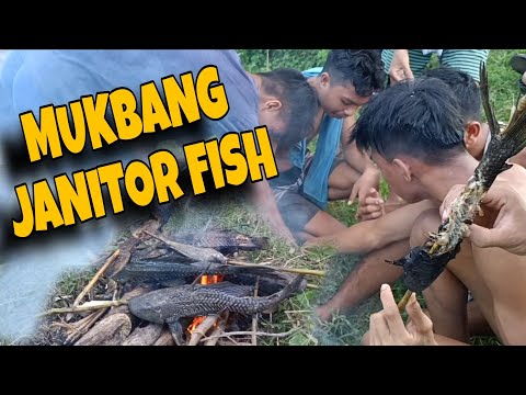 JANITOR FISH KINAKAIN? / Niluluto sa Probinsya Ang JANITOR at kinakain ...