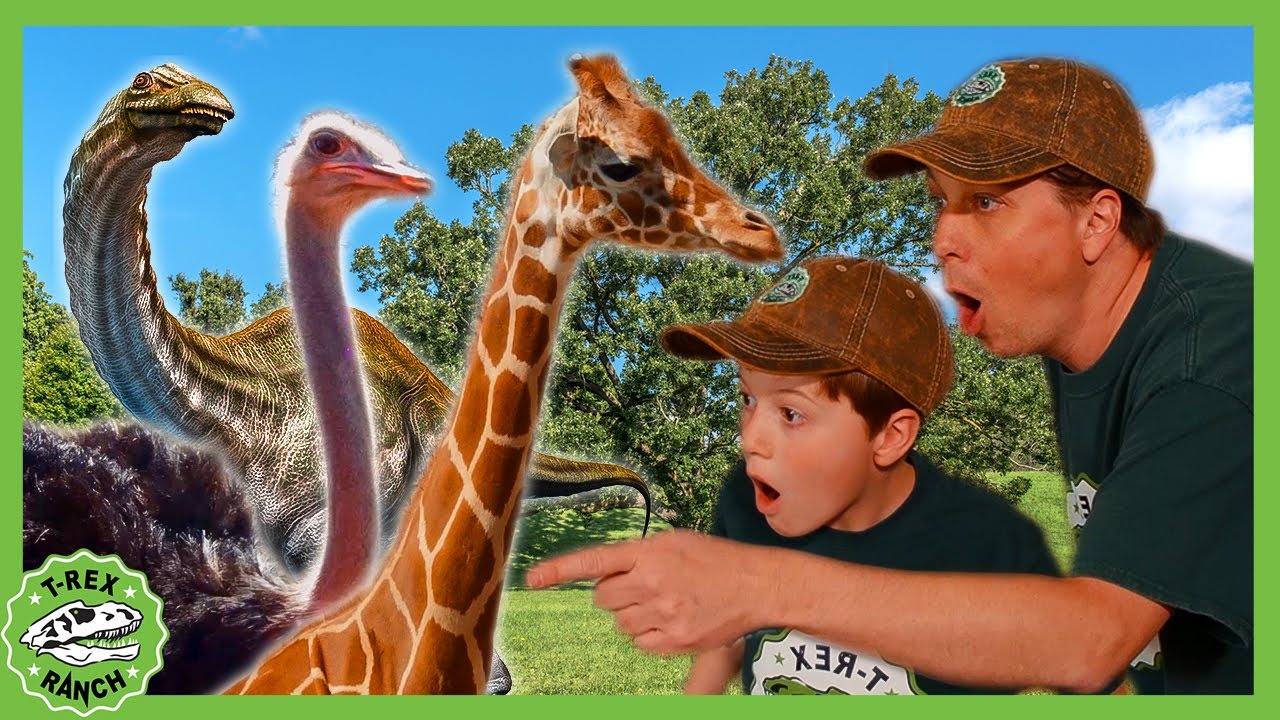 Dinosaurs, Animals & MORE! Wildlife Animal Adventure Park Zoo | T-Rex ...
