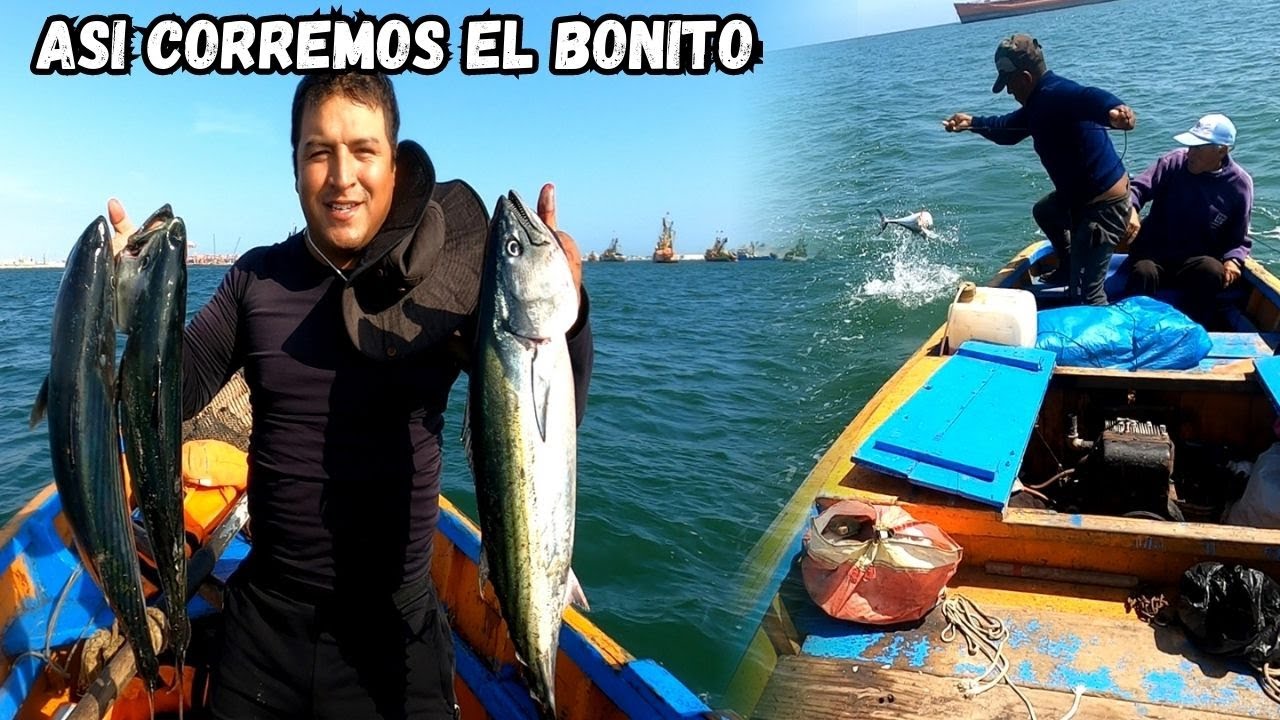 ASI ES LA FAMOSA PESCA DEL BONITO | AQUI EN EL CALLAO Y VENTANILLA ...